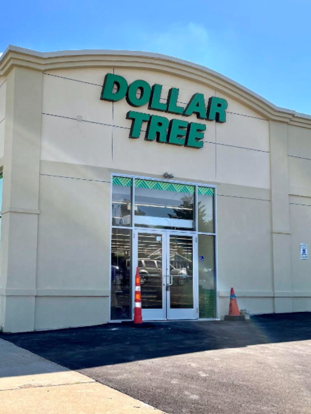 9 Dollar Tree Groceries I Always Buy To Save Money Statanalytica