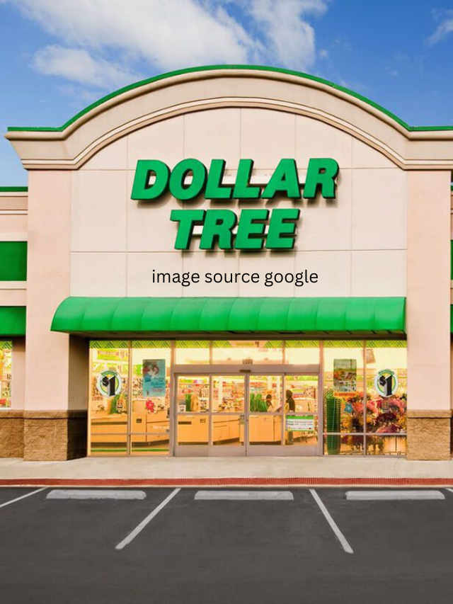 8 Of The Best Items At Dollar Tree That Cost Way More Statanalytica