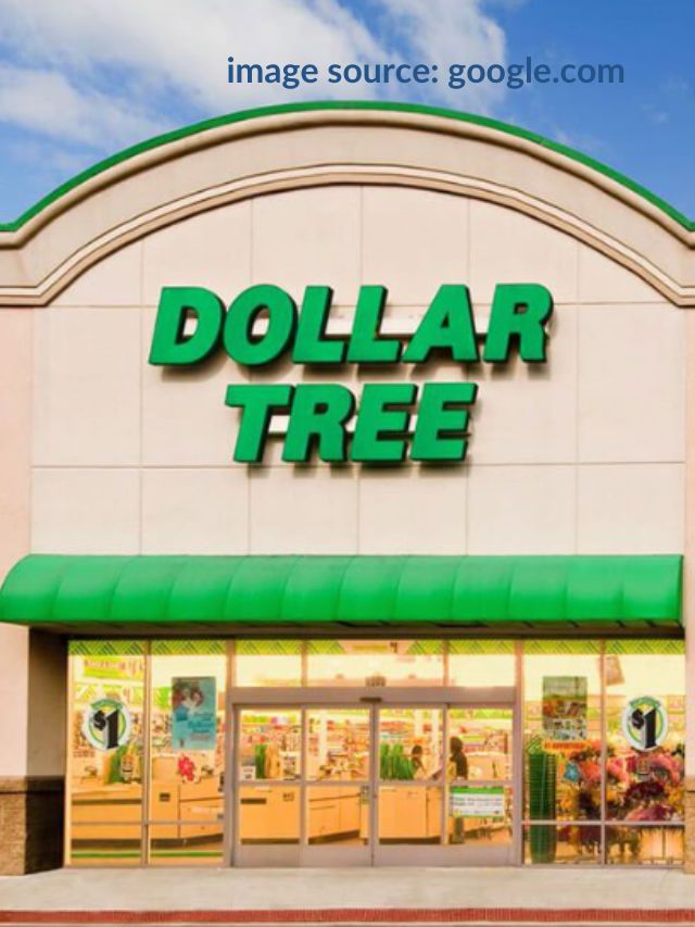 Dollar Tree 12 High Quality Items To Buy In October Statanalytica