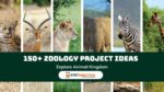 150+ Zoology Project Ideas: Explore Animal Kingdom