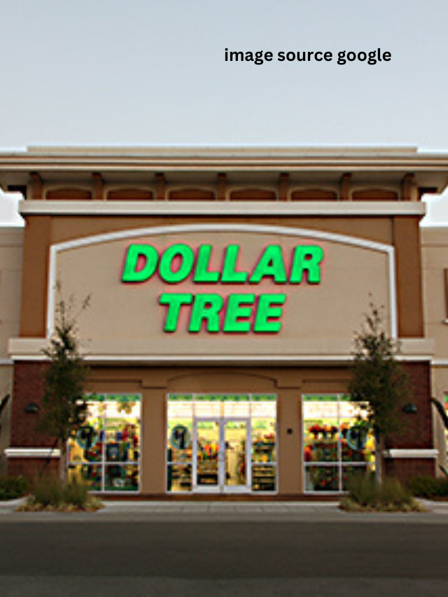 8 New Items Coming To Dollar Tree This Winter Statanalytica