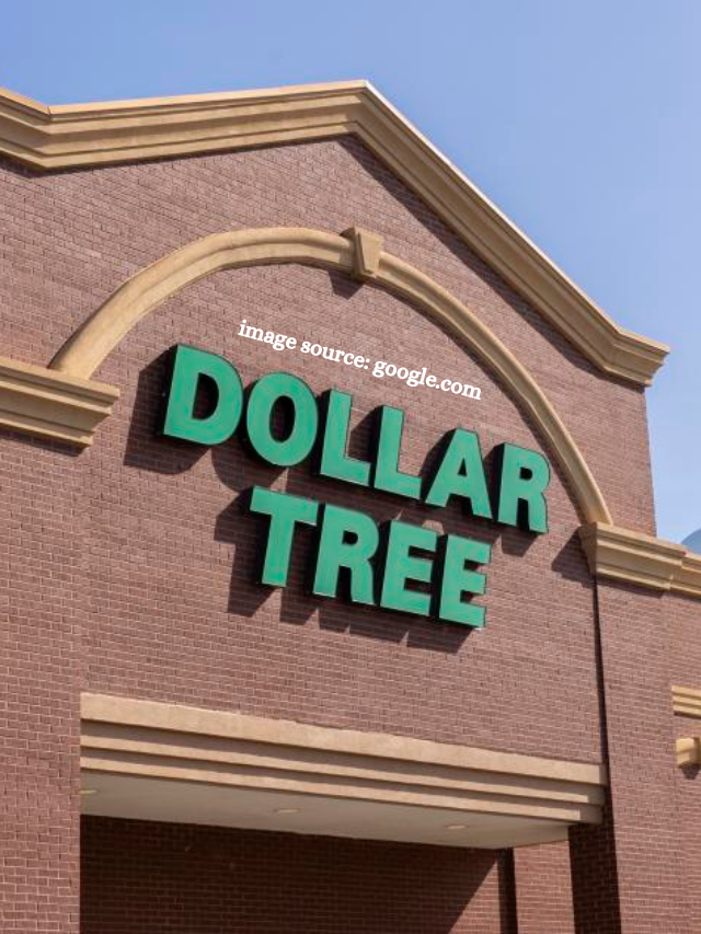 10 Best New Arrivals At Dollar Tree In January Statanalytica