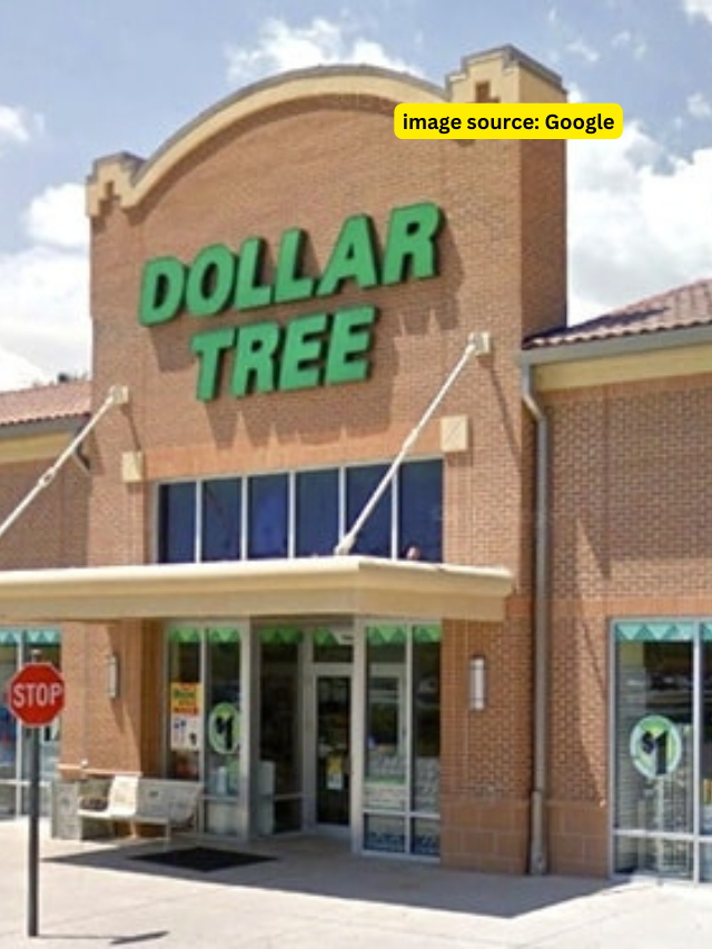8 Dollar Tree Items That Have The Most Customer Complaints Statanalytica