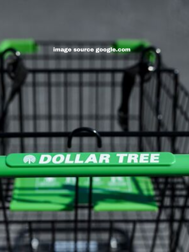 10 Kitchen Items To Grab At Dollar Tree To Save Big Statanalytica