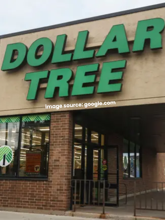 11 Best Dollar Tree Cleaning Products Statanalytica
