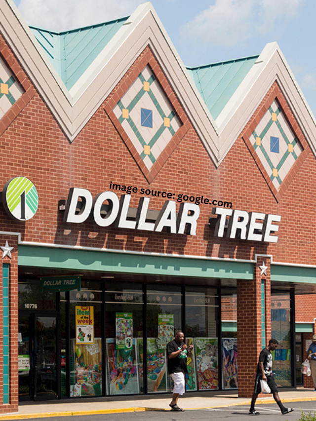 9 Grocery Items To Buy At Dollar Tree In 2024 Statanalytica