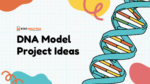 20 DNA Model Project Ideas: Beginner To Advanced Level [Updated]
